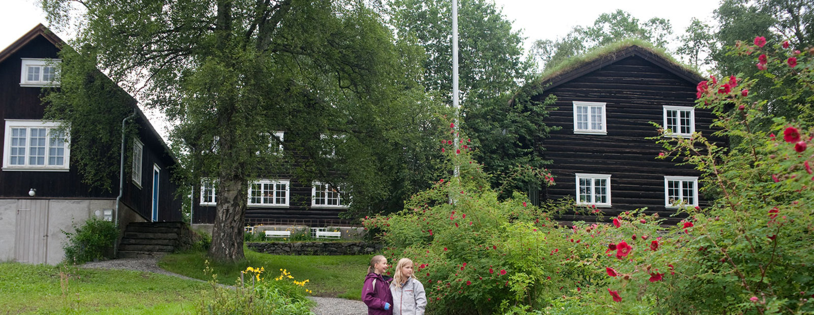 Bjerkebæk - Bjerkebæk